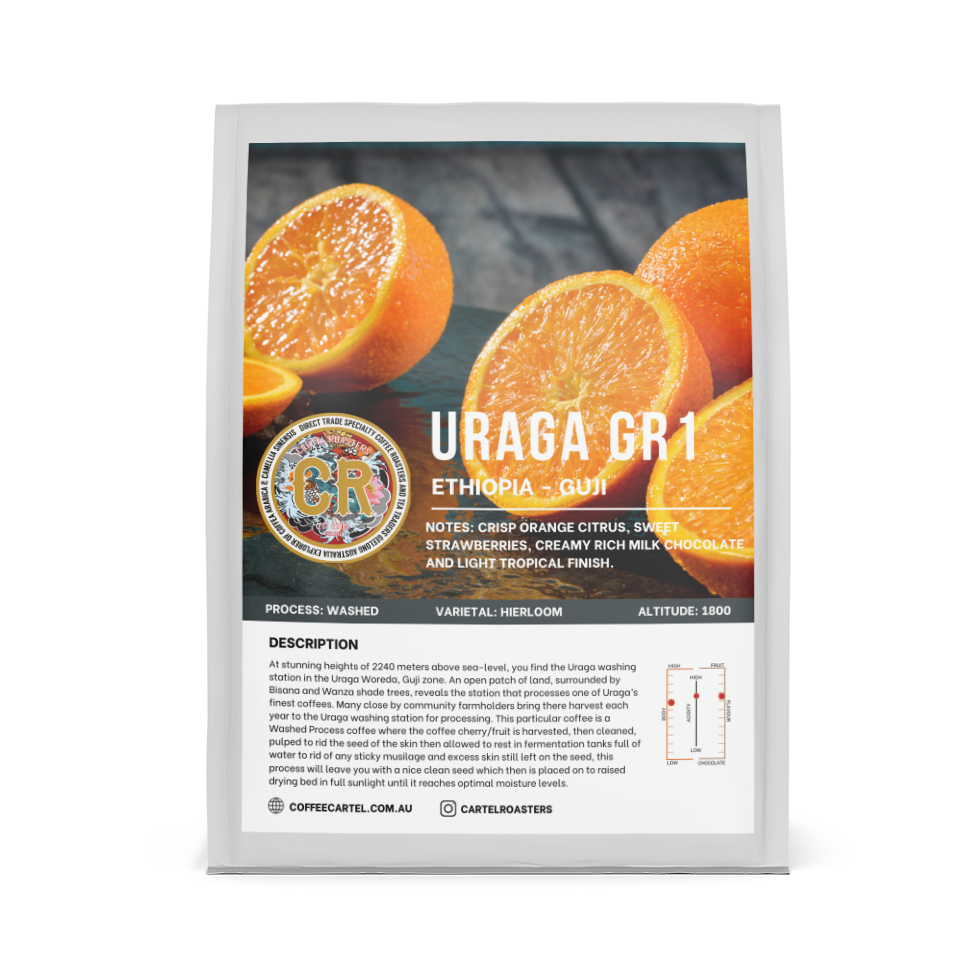 ETHIOPIA - URAGA GR1 - GUJI - WASHED PROCESS | Coffee Cartel