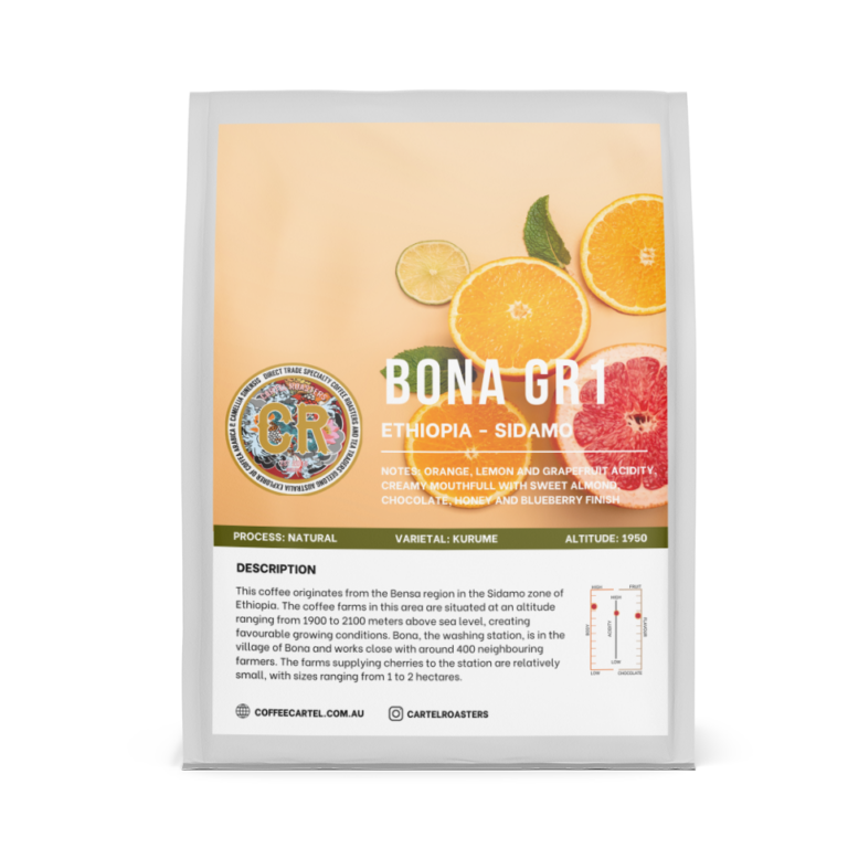 ETHIOPIA - BONA GR1 - SIDAMO - NATURAL PROCESS | Coffee Cartel