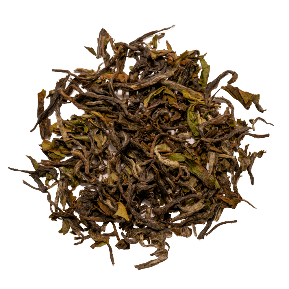 Jun Chiyabari Evergreen (30g) | Coffee Cartel