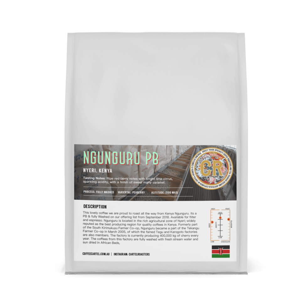 KENYA - NGUNGURU PB - SL28 - FULLY WASHED - 2019 LOT | Coffee Cartel